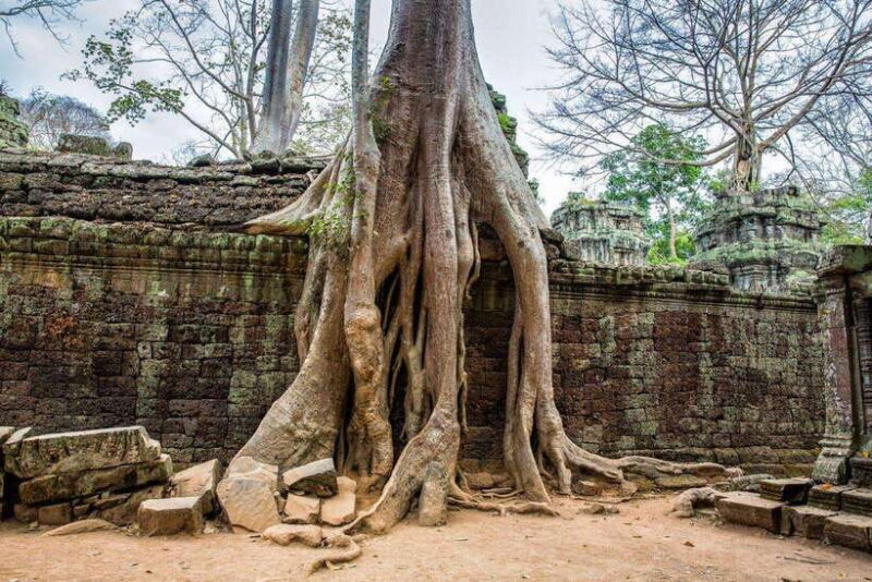 Angkor Wat Sunrise Main Temples Tour(Included Breakfast) - Pricing & Value