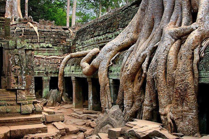 Angkor Wat Sunrise Private Experience with Guide from Siem Reap - Final Thoughts: Who Is This Tour For?