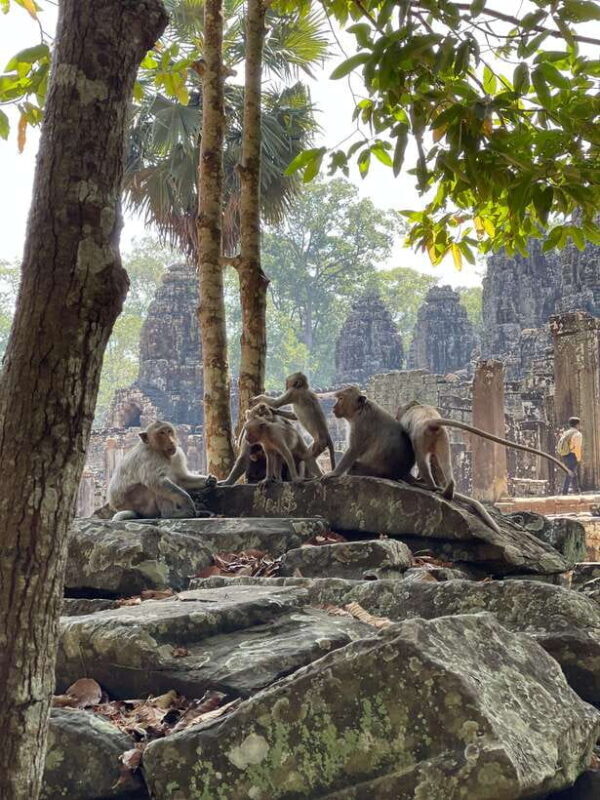 Angkor Wat Sunrise Private Full Day Tour - Who Is This Tour Best For?