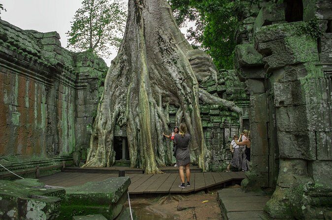 Angkor Wat Sunrise Small Circuit Tour with Transportation Only - The Sum Up