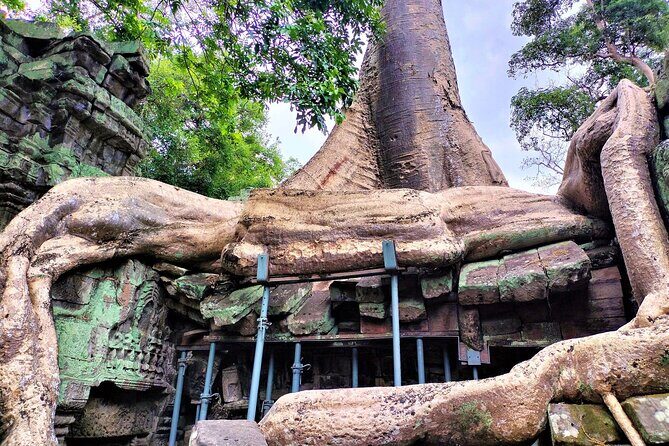 Angkor Wat Sunrise, Ta Promh, Banteay Srei, Bayon Private Tour - The Sum Up