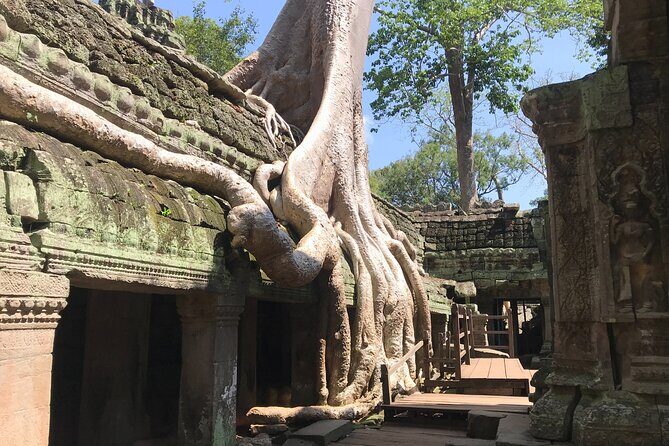 Angkor Wat Sunrise Tour - Final Thoughts