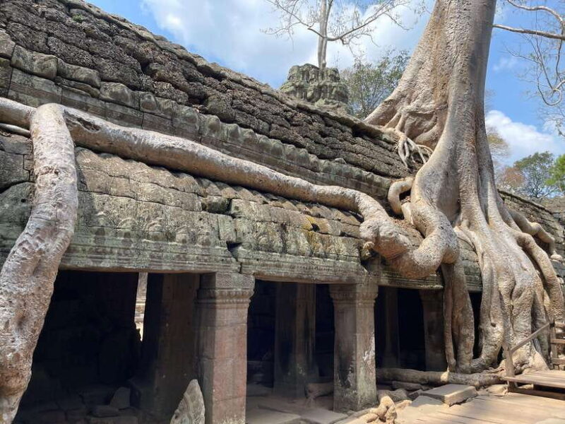 Angkor Wat Sunrise Tour in Siem Reap Small-Group - Key Points