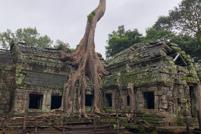 Angkor Wat Sunset TUK TUK Tour - What’s Included and What You’ll Need to Budget for