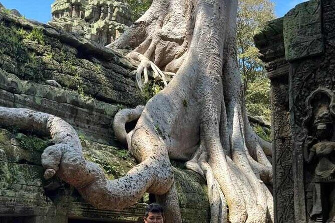 Angkor Wat, Ta Prohm, Angkor Thom & Phnom Bakheng Sunset Tours - How the Experience Feels