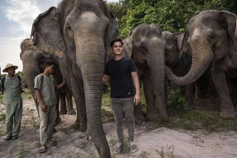 Angkor Wat Temples & Kulen Elephant Forest Day Tour - The Full Experience: Where Your Day Goes