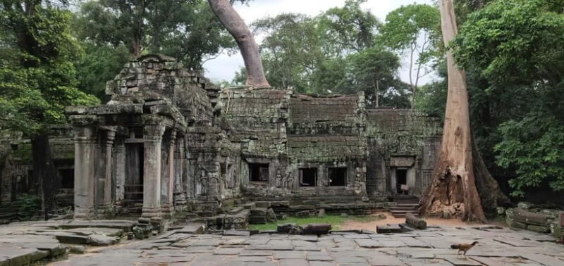 Angkor Wat Temples Tour by Car with Optional Sunrise - FAQ