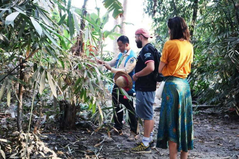 Angkor Wat: Tuk Tuk and Walking Tour - A Practical Look at the Tour