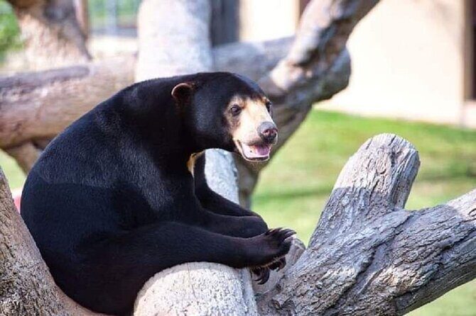 Angkor Wildlife & Aquarium Halfday tour - Key Points