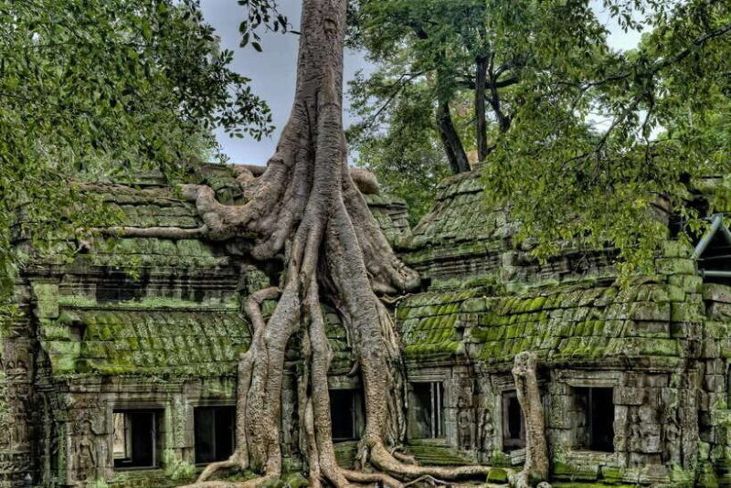Angkor Zipline and Discover Highlight Angkor wat with Sunset - Authentic Experiences and Real Feedback