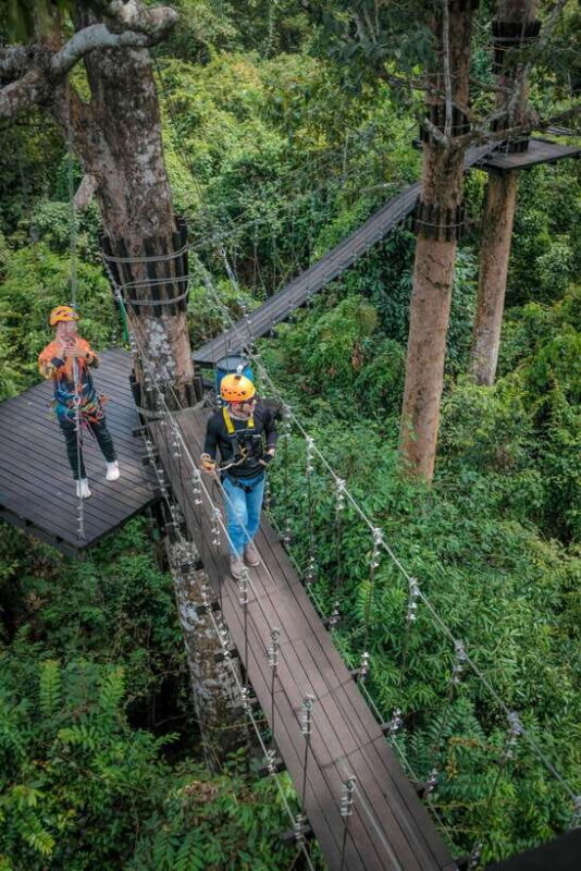 Angkor Zipline and Temple Tour with Sunset - The Sum Up