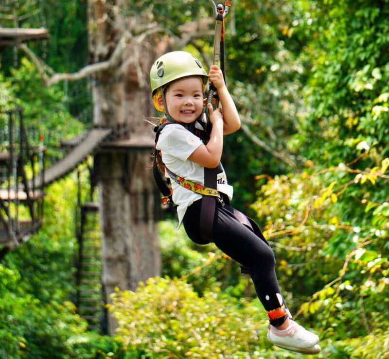 Angkor Zipline Eco-Adventure Canopy Tour - A Deep Dive into the Canopy Experience