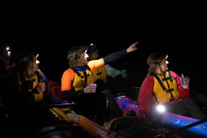Anglesea: Night Kayaking Tour Under the Stars - Final Thoughts