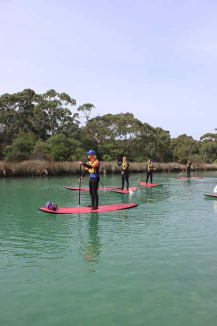 Anglesea: Stand-Up Paddleboard Lesson on the River - Key Points