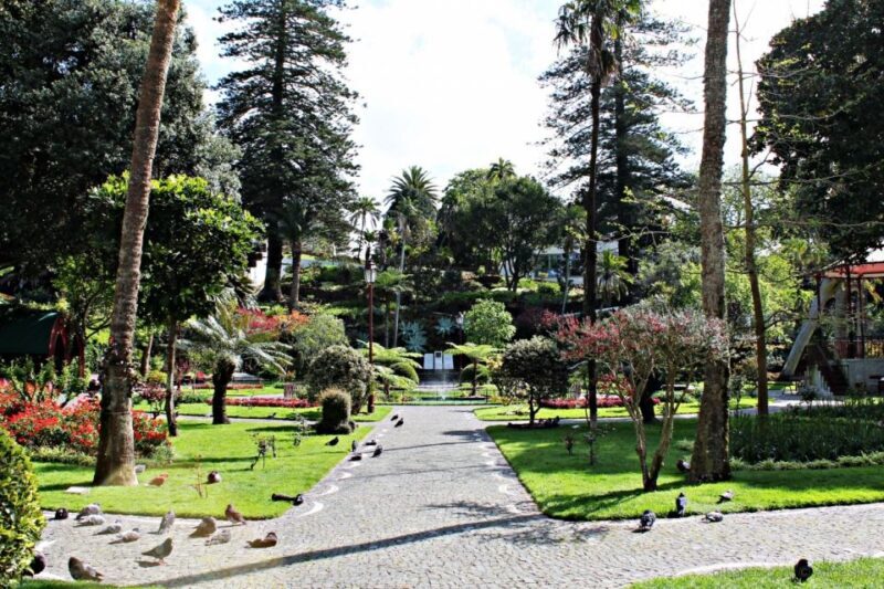 Angra do Heroísmo: Walking Tour with Local Pastry and Coffee - Ending at Jardim Botânico and Alto da Memória