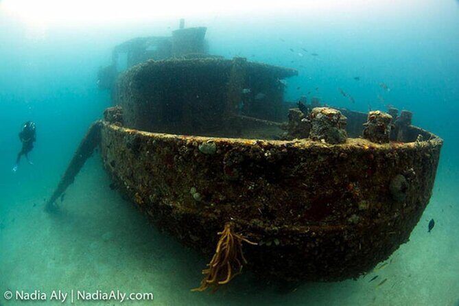 Anguilla Based: 1-Tank Group Night Dive (certification Required) - FAQ