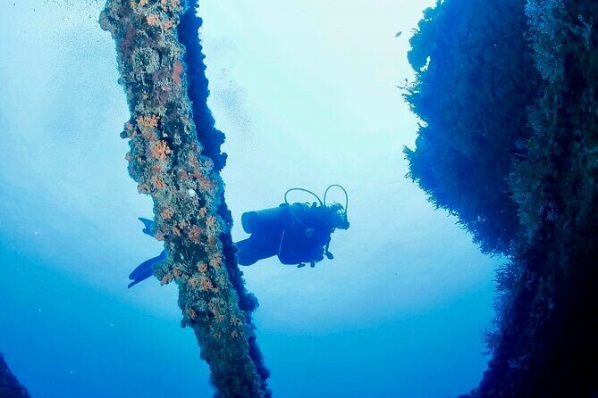 Anguilla Based: 2-Tank Group Dive Experience for Certified Divers - The Value: Price and Experience