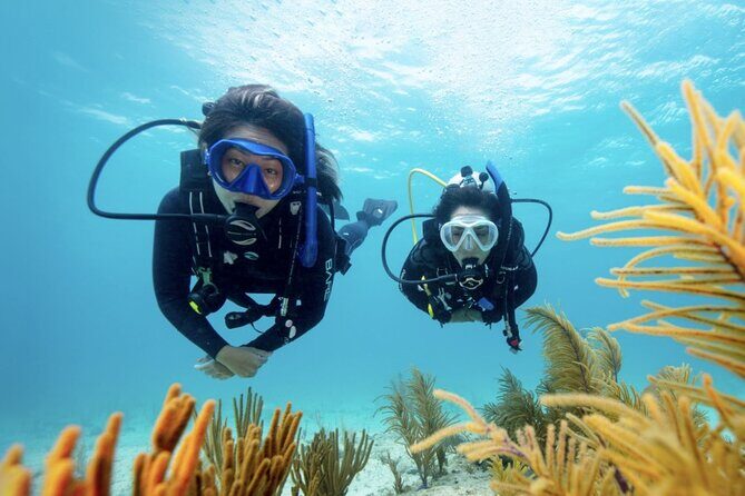 Anguilla Based:Complete your PADI Open Water Dives 3 & 4 with us - Introduction