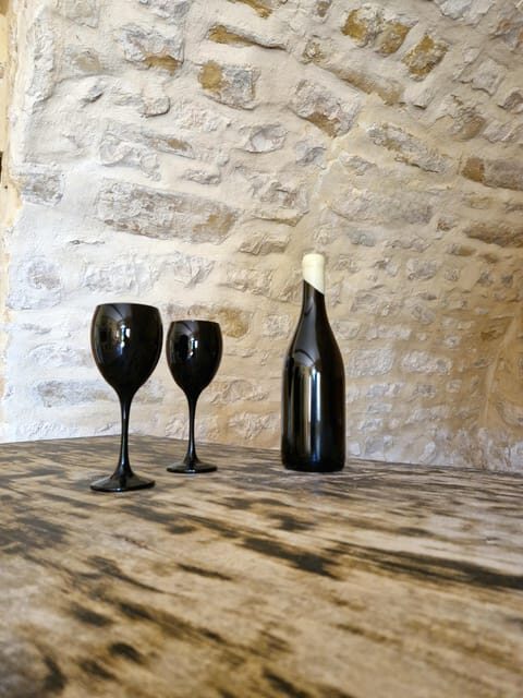 Aniane: Discover the Art of Blind Tasting at Château Capion - A Closer Look at What the Experience Offers