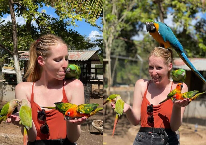Animal & Bird Farm with Private Transport - A Closer Look at the Jamaica Bird Tour