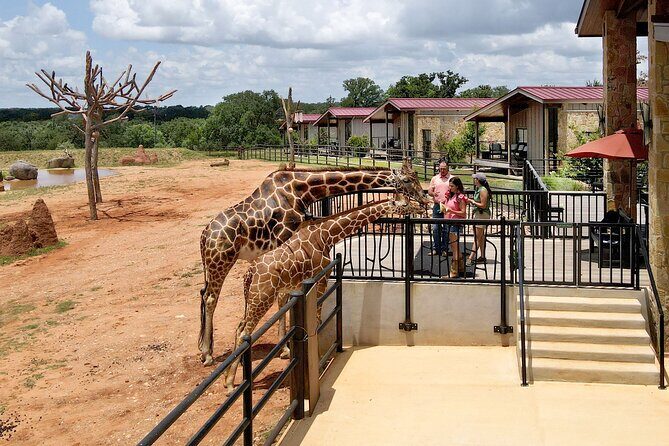 Animal Encounters - Who Will Appreciate This Tour?