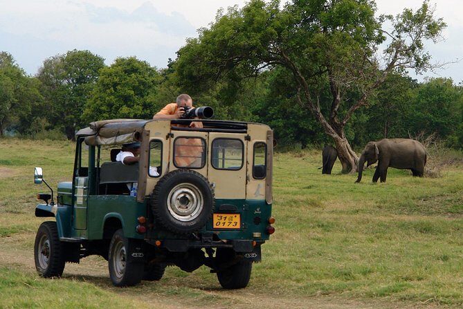 Animal Kingdom - UDAWALAWE Day Tour - Who Is This Tour Best For?