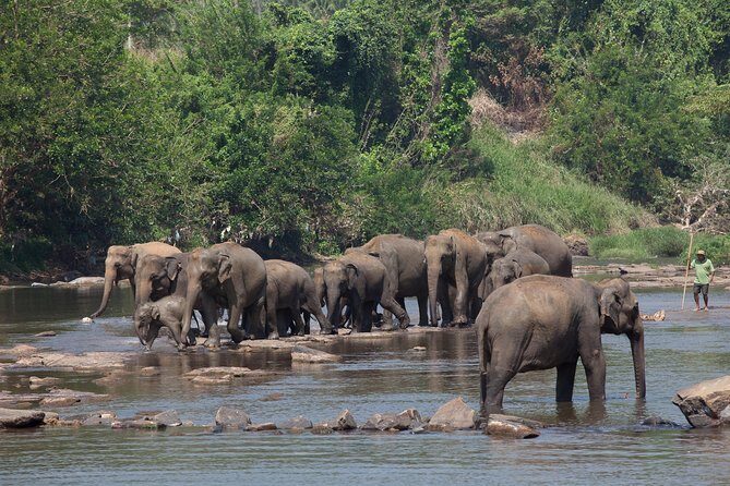 Animal Kingdom - UDAWALAWE Day Tour - FAQ