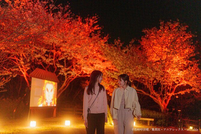 Anime Demon Slayer Night Walk Ticket - What the Experience Offers