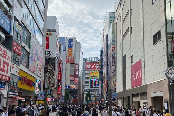 Anime, Manga, Game & Maid cafe Tour in Akihabara - Practical Considerations and Tips