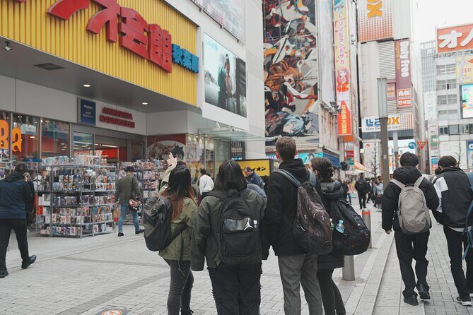 Anime & Manga Lovers Akihabara Tour  Private Tour - Key Points