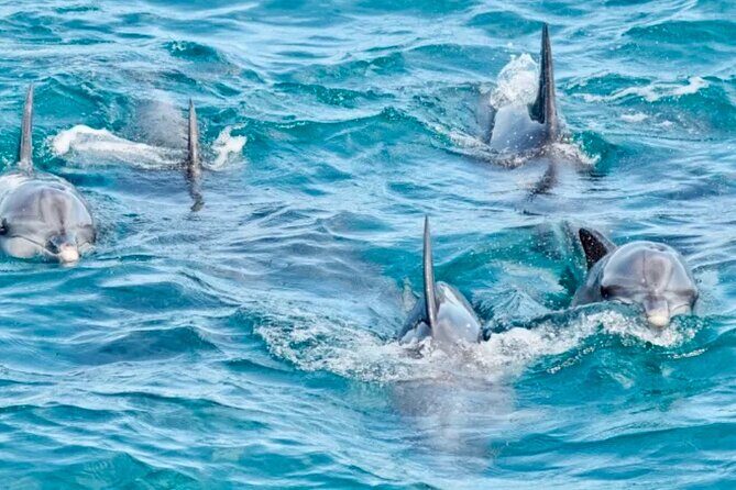 Anna Bay and Nelson Bay NSW tours like Dubai safari experience - An In-Depth Look at the Tour Experience