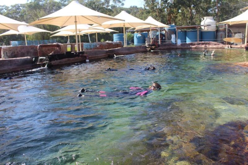 Anna Bay: Irukandji Entry + Coastal Currents Snorkel - Key Points