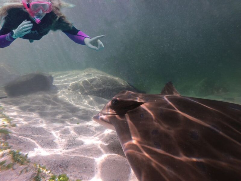 Anna Bay: Irukandji Entry + Coastal Currents Snorkel - What Travelers Say
