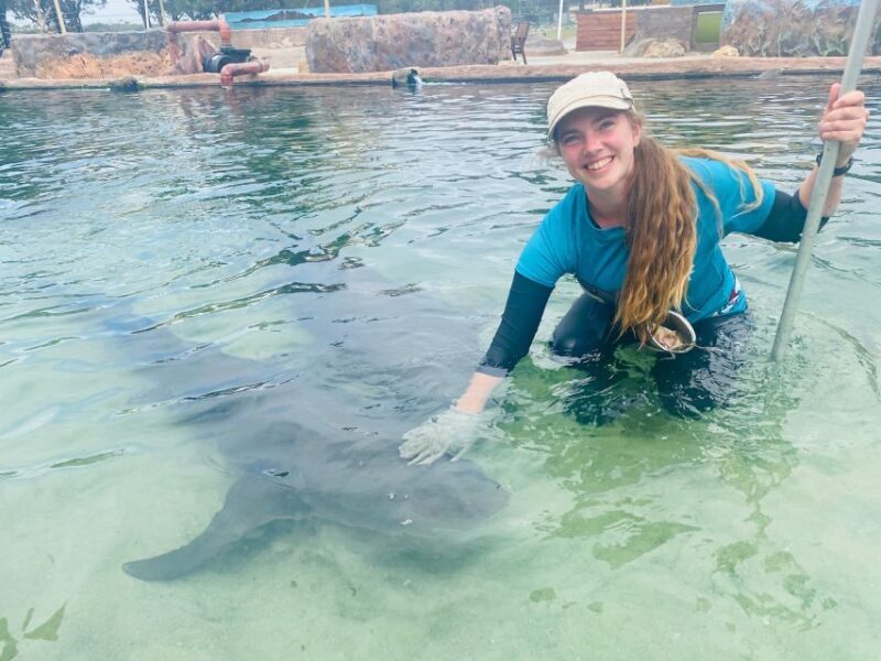 Anna Bay: Irukandji Entry Pass with Reef Shark Encounter - What Makes This Tour Stand Out