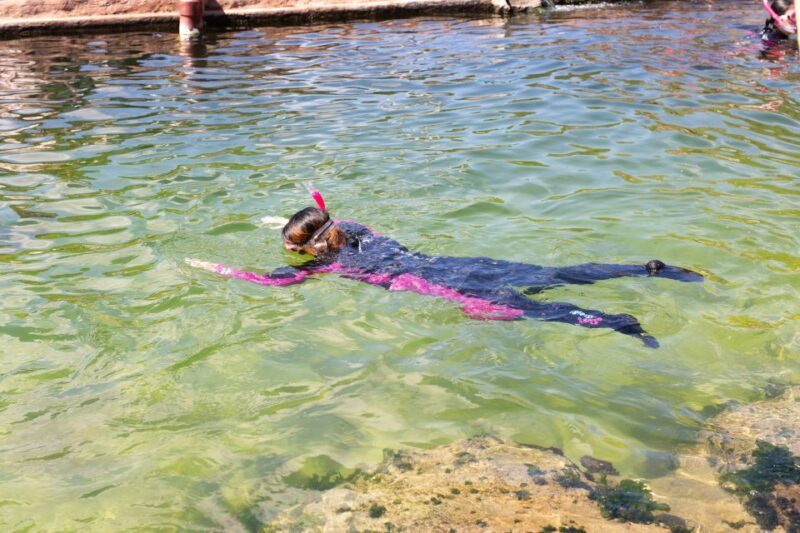 Anna Bay: Irukandji Entry Pass with Reef Shark Snorkel - An In-Depth Look at the Shark & Ray Encounter Experience