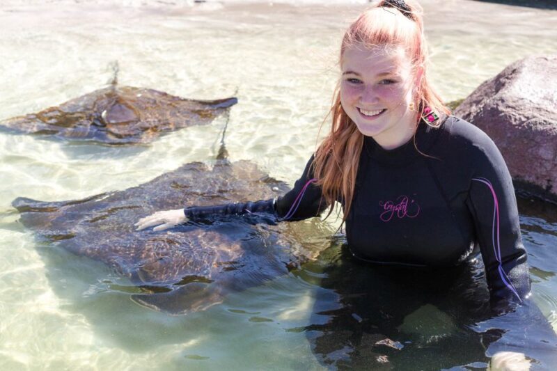 Anna Bay: Irukandji Entry Pass with Shallows Encounter - Key Points