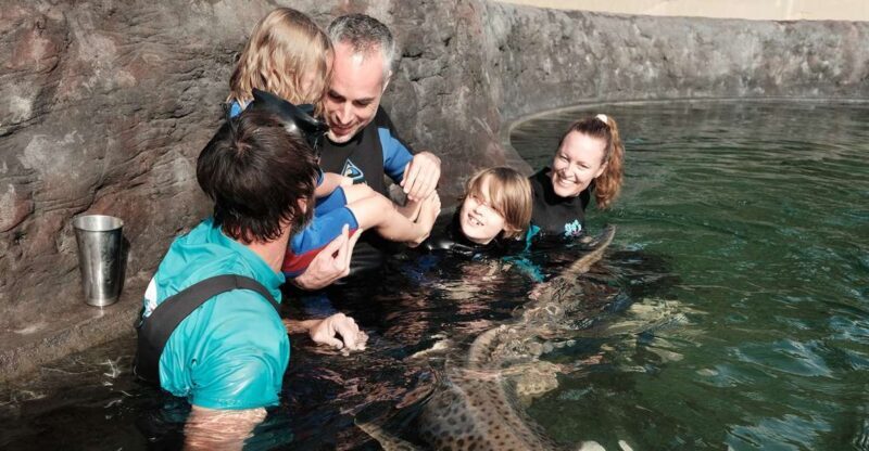 Anna Bay: Irukandji Entry Pass with Zebra Shark Encounter - FAQ