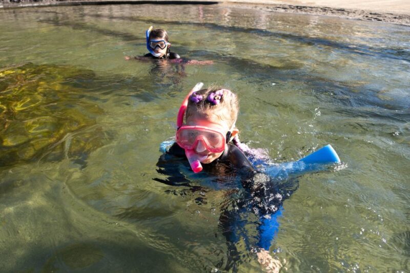 Anna Bay: Irukandji Entry with Zebra Shark Snorkel - What Makes This Tour Unique?