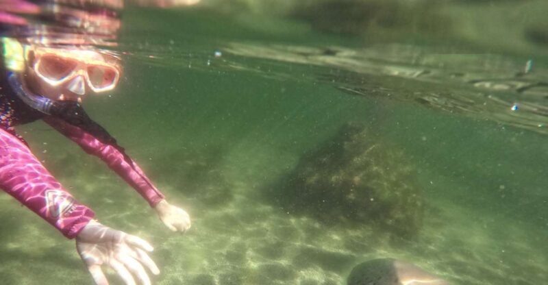 Anna Bay: Irukandji Entry with Zebra Shark Snorkel - Practical Tips for Visitors