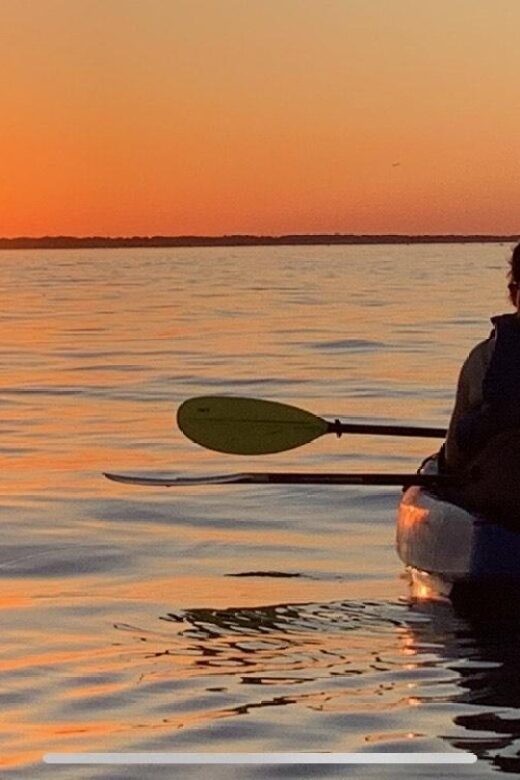 Anna Maria Island and Bradenton: Sunset Kayak Dolphin Tour - Value for Money and Overall Impression