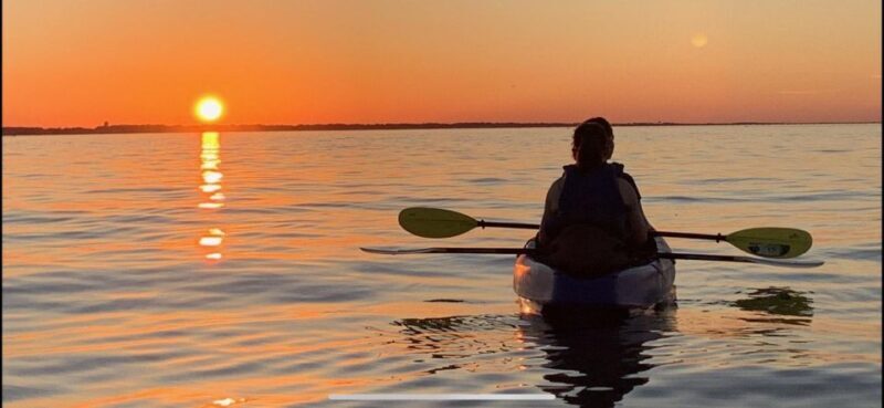 Anna Maria Island and Bradenton: Sunset Kayak Dolphin Tour - Who Will Love This Tour?