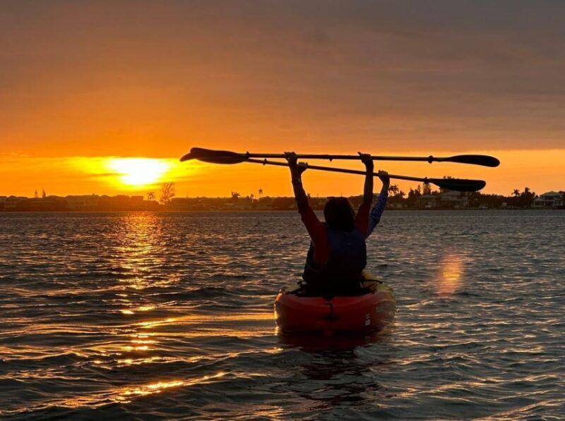 Anna Maria Island and Bradenton: Sunset Kayak Dolphin Tour - The Final Word