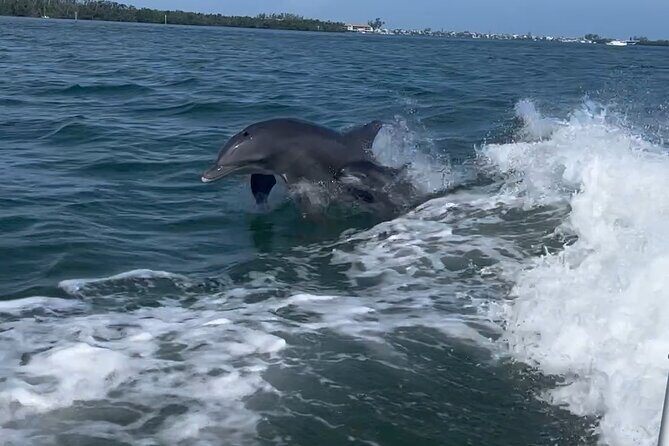 Anna Maria Island Build Your Own Adventure 4 hours - Key Points