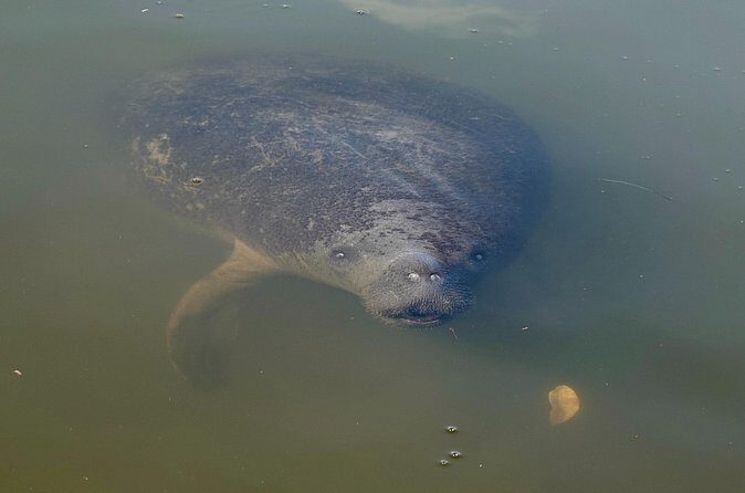 Anna Maria Island Build Your Own Adventure 4 hours - In The Sum Up