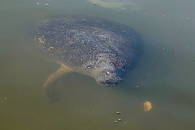 Anna Maria Island Build your own adventure 6 hour - An Honest Look at the 6-Hour Build-Your-Own Adventure Tour