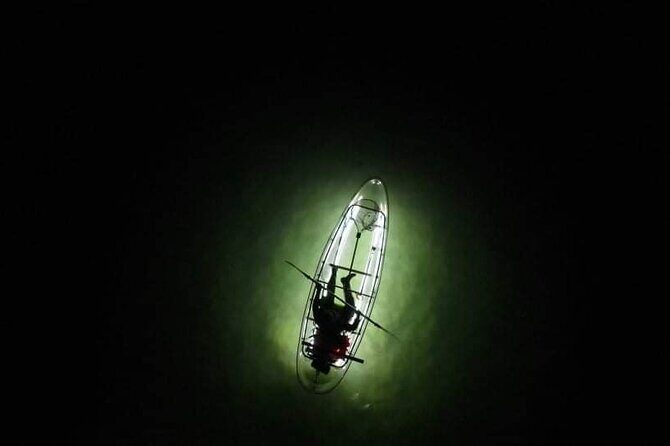 Anna Maria Island - Clear Kayak LED Night Glass Bottom Tour - The Role of the Guides: Keeping It Informative and Fun