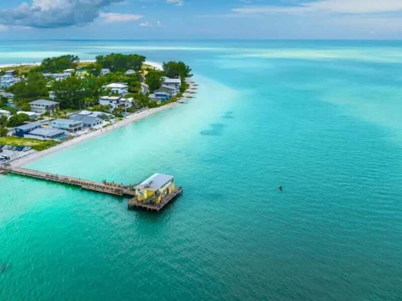 Anna Maria Island: Dolphin Cruise - Who Should Consider This Tour?