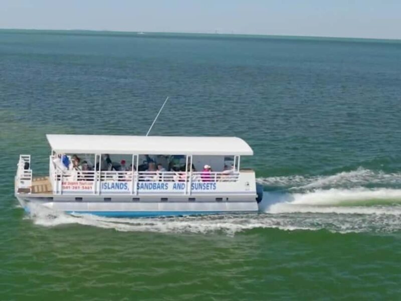 Anna Maria Island: Dolphin Cruise - The Sum Up