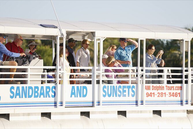 Anna Maria Island Dolphin Sightseeing Adventure - The Experience: What to Expect on the Tour