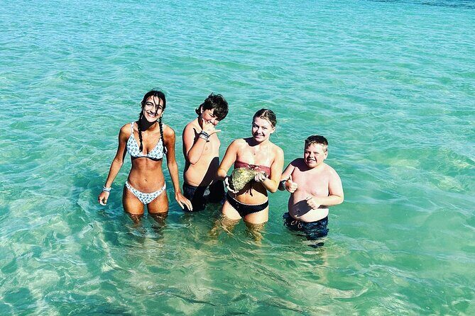 Anna Maria Island Dolphins & Beginners Snorkeling Adventure 4Hrs - What to Expect from the Itinerary